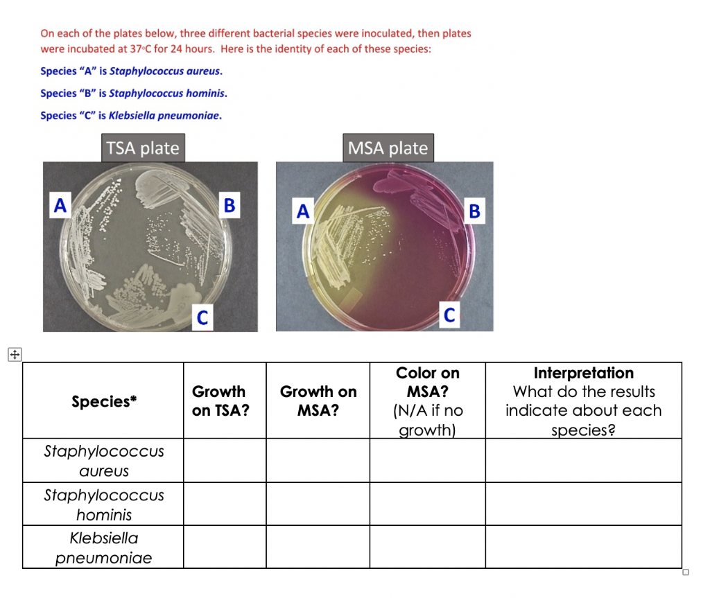 Solved On each of the plates below, three different | Chegg.com