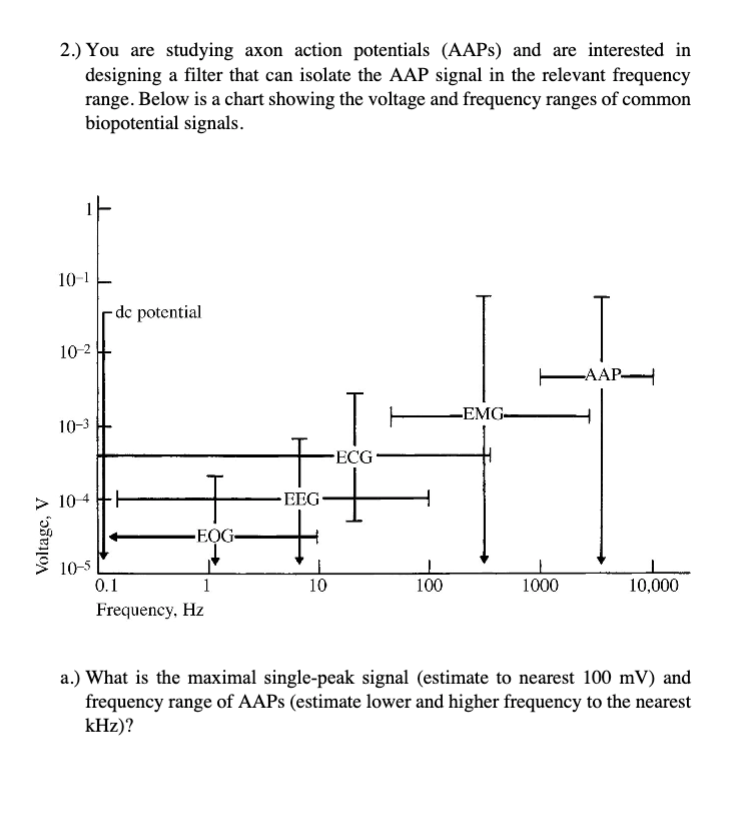 Solved 2.) You are studying axon action potentials (AAPs) | Chegg.com