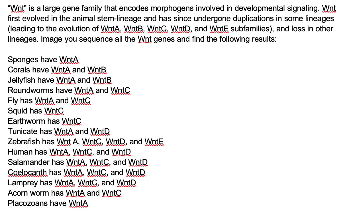Solved "Wnt" is a large gene family that encodes morphogens | Chegg.com