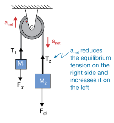Solved Hello, I am having trouble setting up my formulas, is | Chegg.com