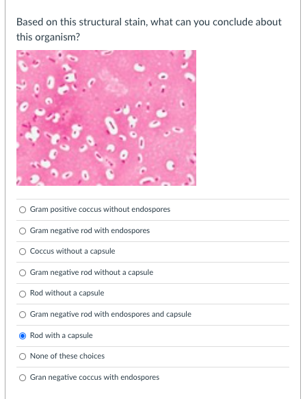 Solved Based on this structural stain, what can you conclude | Chegg.com