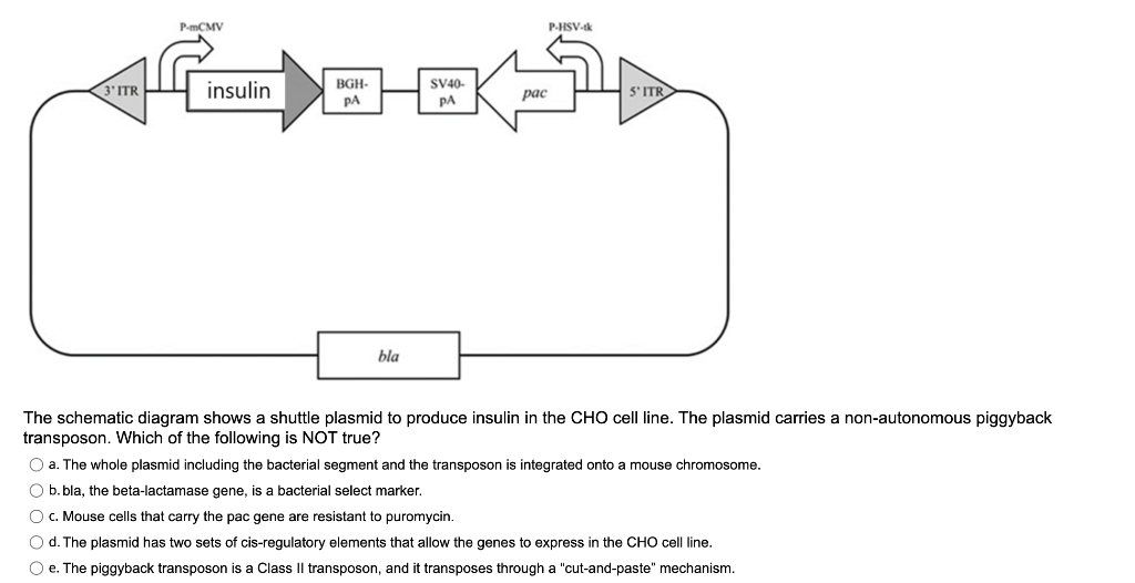 Solved The schematic diagram shows a shuttle plasmid to | Chegg.com