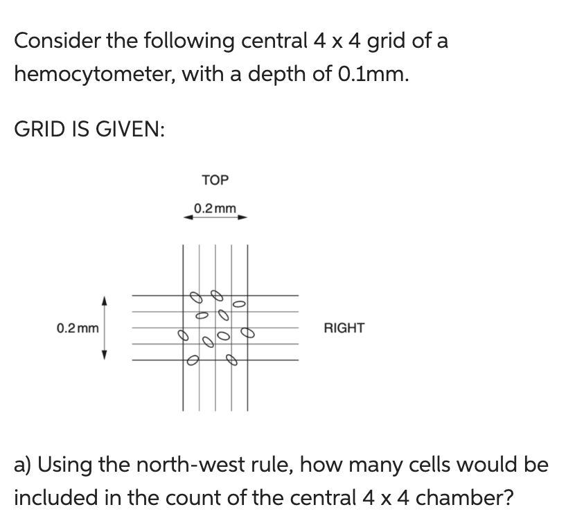 Solved Consider the following central 4×4 grid of a | Chegg.com