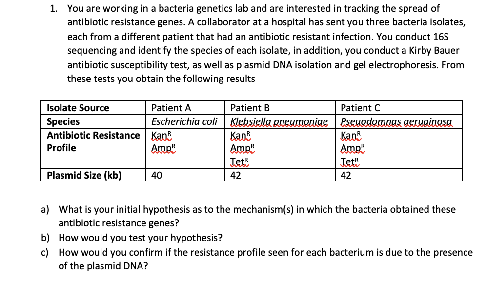 Solved 1. You are working in a bacteria genetics lab and are | Chegg.com