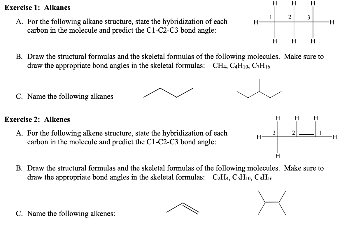 Solved H H H Exercise 1: Alkanes 1 2 3 H H A. For the | Chegg.com