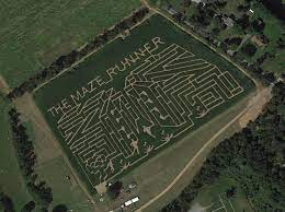 Solved can anyone explain this to me how can a maze runner | Chegg.com