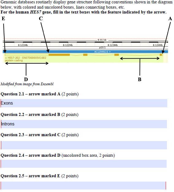 Solved Genomic databases routinely display gene structure | Chegg.com
