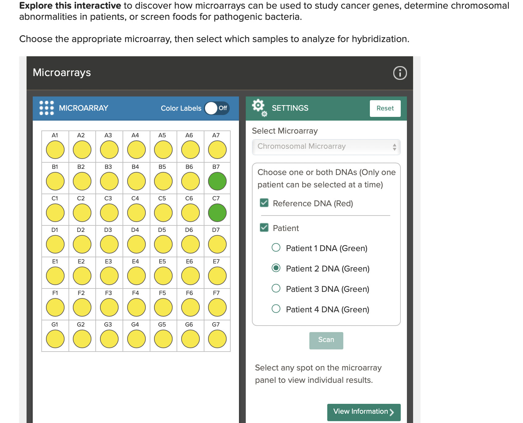 Solved Explore this interactive to discover how microarrays | Chegg.com