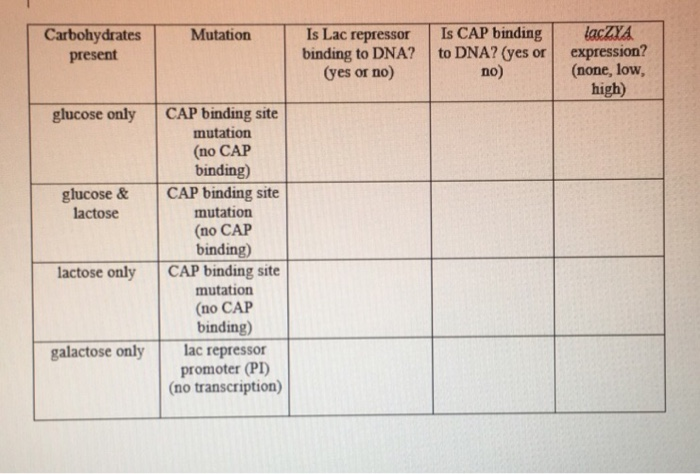 Solved Carbohy drates Mutation Is Lac repressor Is CAP | Chegg.com
