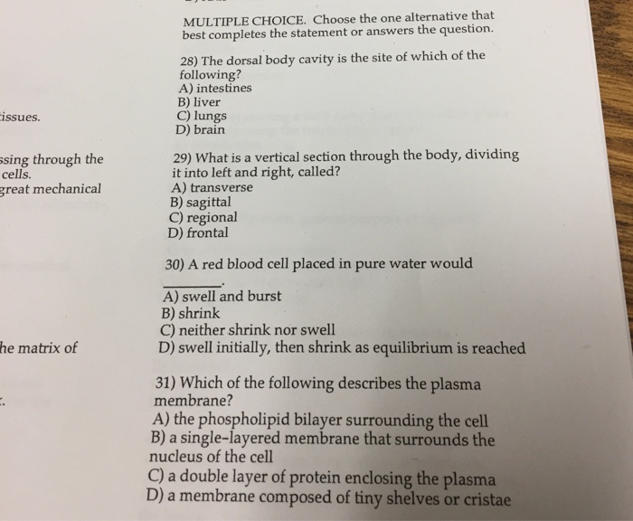 Solved MULTIPLE CHOICE. Choose the one alternative that best | Chegg.com