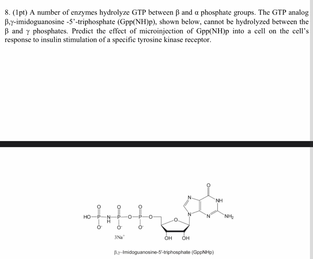 Solved 8. (1pt) A number of enzymes hydrolyze GTP between ß | Chegg.com