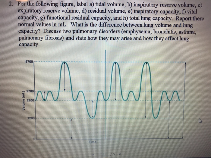 Solved CHECK YOUR UNDERSTANDING 8-Chapter 16, and 17 Group | Chegg.com