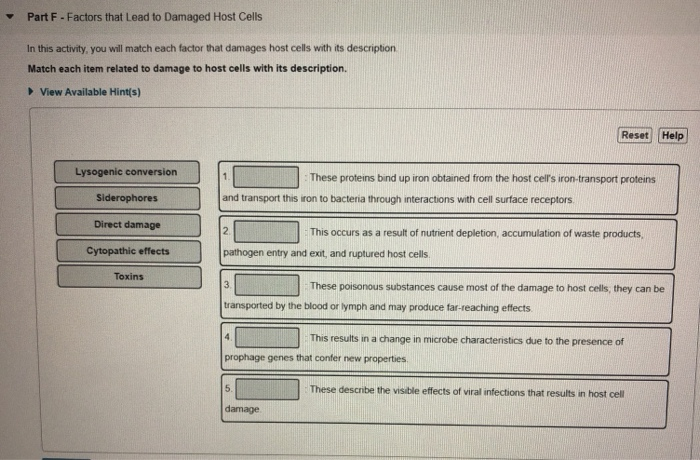 Solved Part F Factors that Lead to Damaged Host Cells In | Chegg.com