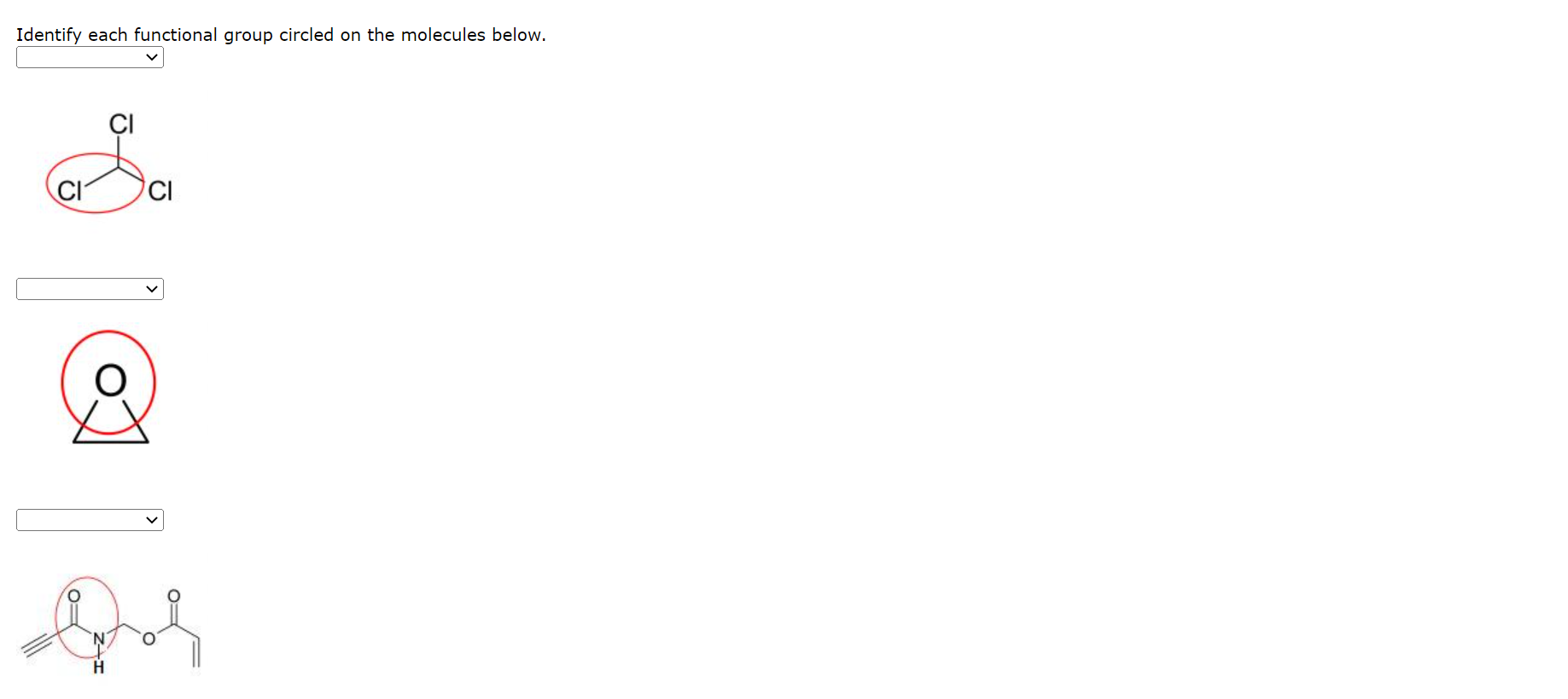 Solved Identify each functional group circled on the | Chegg.com