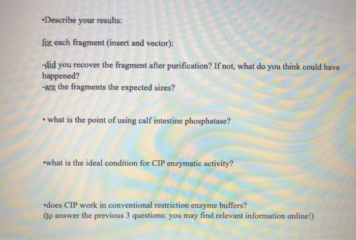 Solved Describe your results: for each fragment (insert and | Chegg.com
