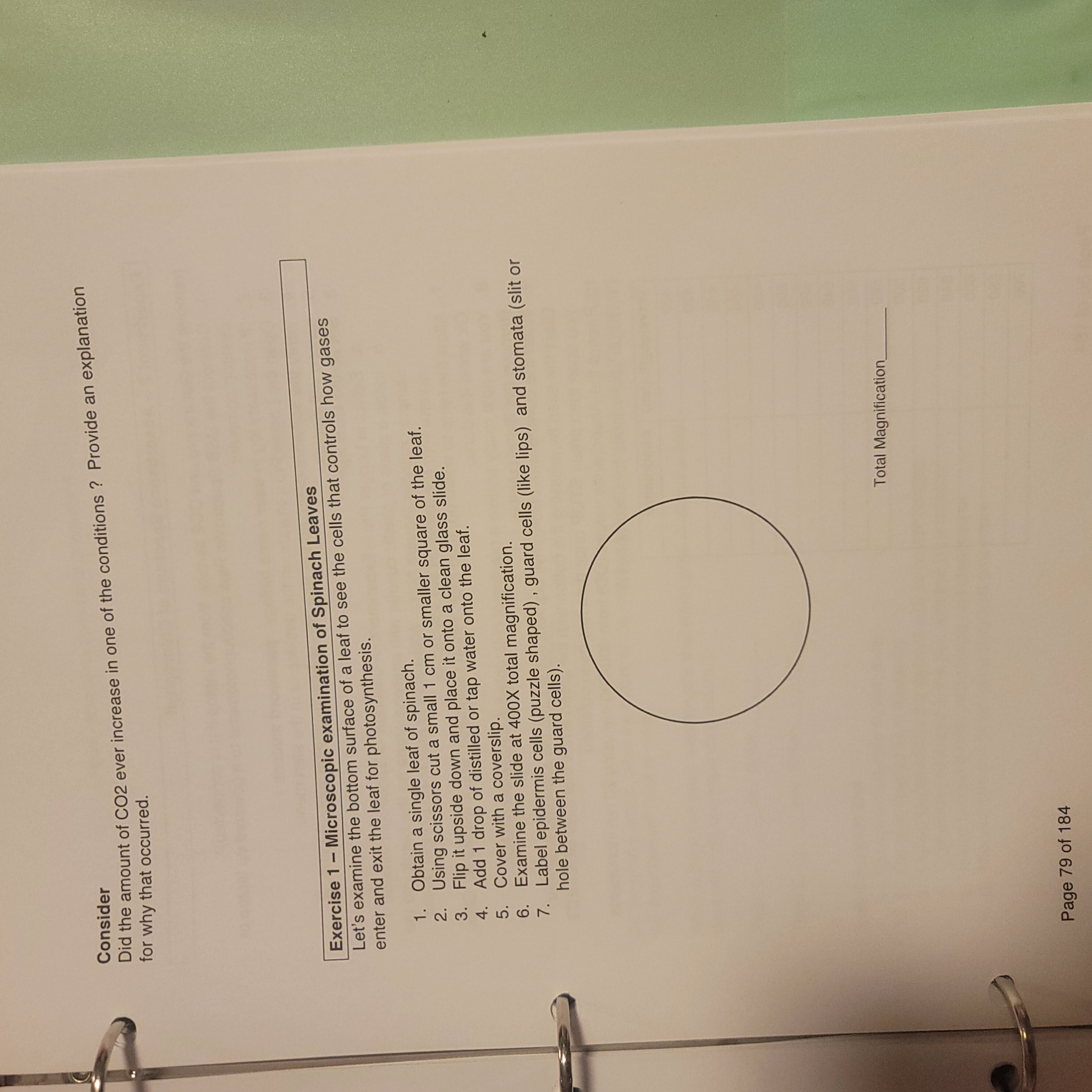 Solved 16. Scroll in the window to show the three slopes | Chegg.com