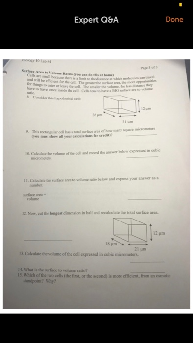 Solved Expert Q&A Done 10 Lab 84 Page 3 of3 Surface Area to | Chegg.com