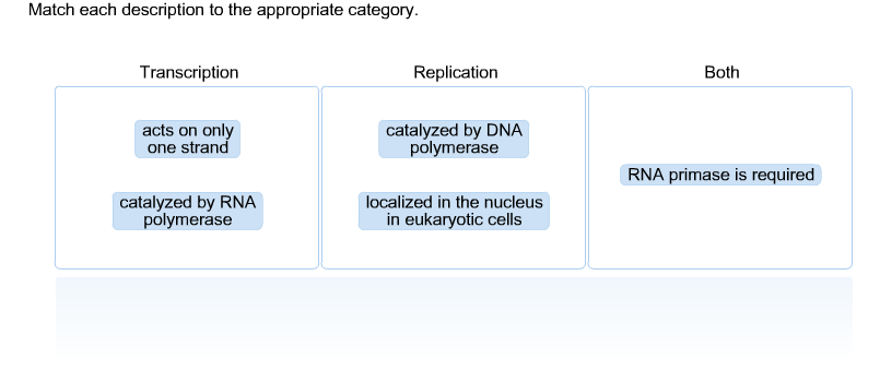 Solved Match each description to the appropriate category. | Chegg.com