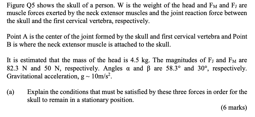 Solved Figure Q5 shows the skull of a person. W is the | Chegg.com