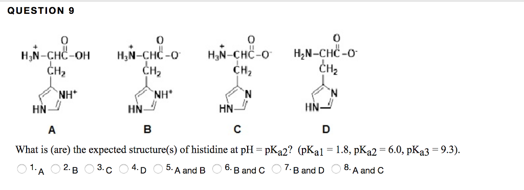 Solved QUESTION 9 CH NH HN HN/ HN HN What is (are) the | Chegg.com