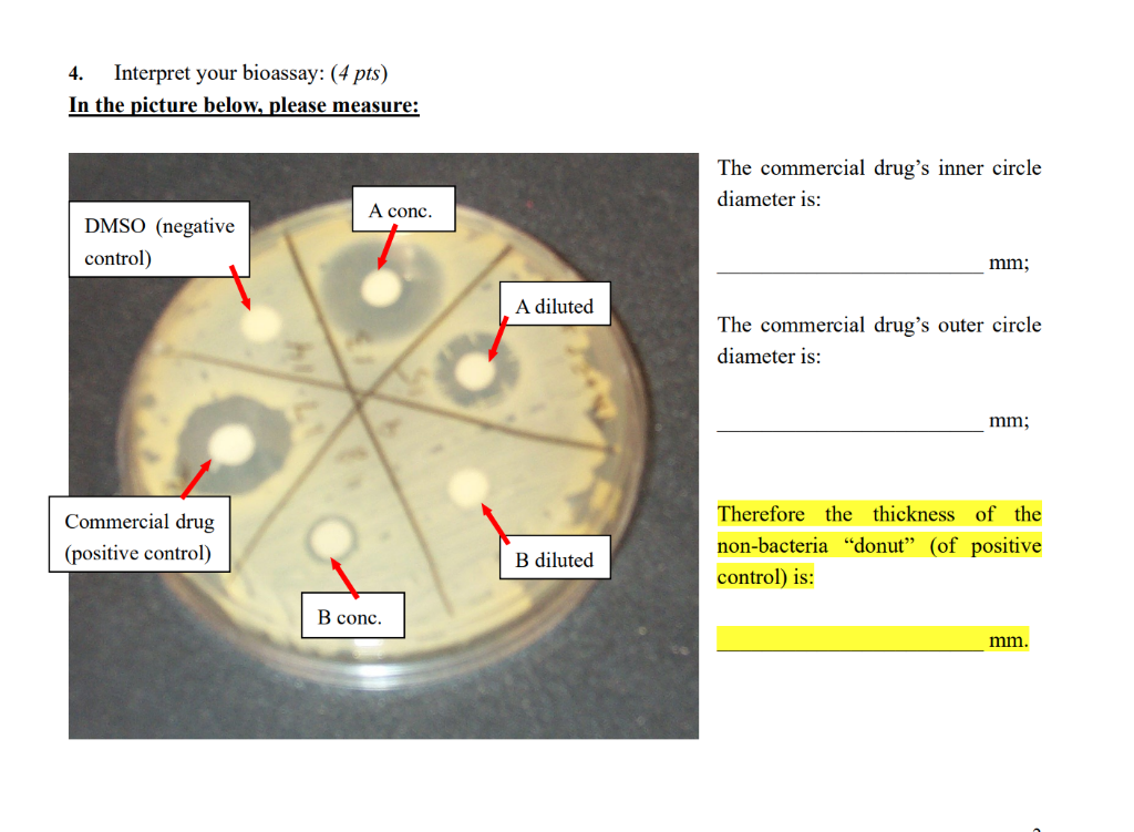 Solved 4. Interpret your bioassay: (4 pts) In the picture | Chegg.com