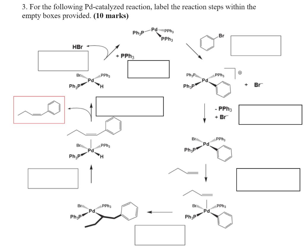 Solved 3. For the following Pd-catalyzed reaction, label the | Chegg.com
