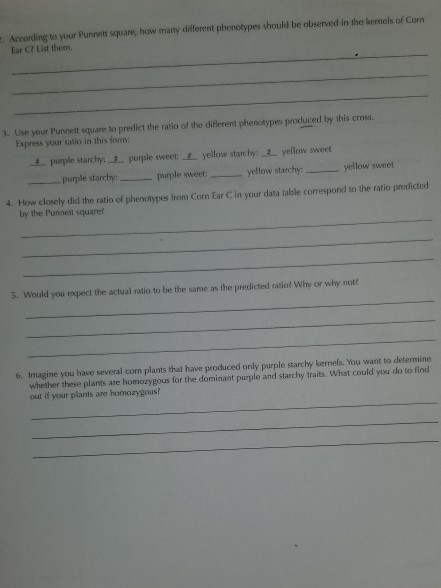 Solved Date Student's Name LAB-AIDS #603S INVESTIGATING AND | Chegg.com