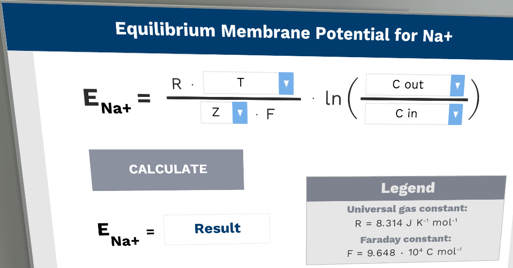 Solved Calculate the equilibrium potential for Na+ at 20 | Chegg.com