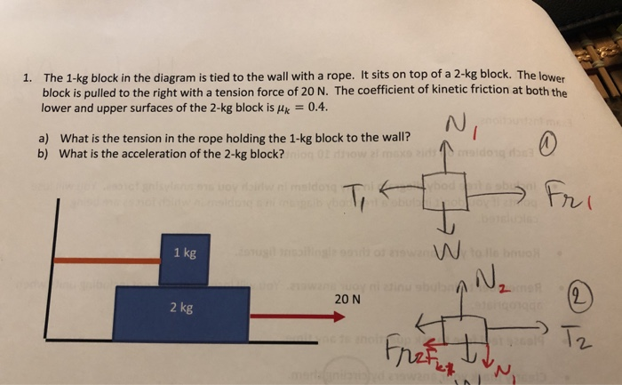 Solved The 1-kg block in the diagram is tied to the wall | Chegg.com