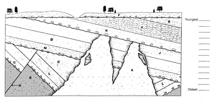 Solved 1. Use the Law of Superposition, the Principle of | Chegg.com