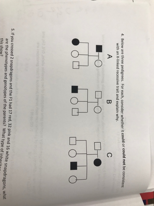 Solved 4. Below are three pedigrees. For each, consider | Chegg.com