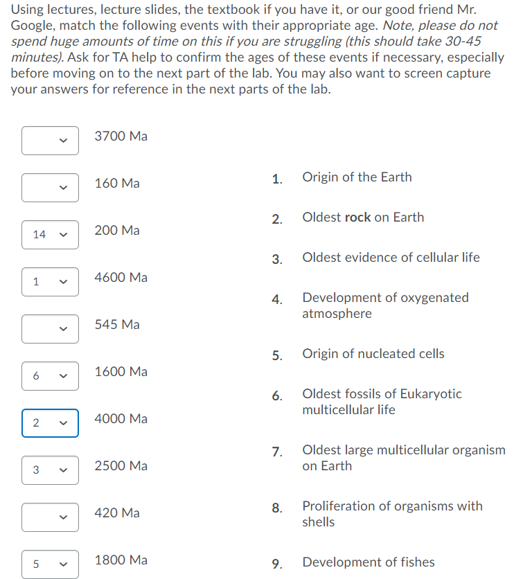 Solved Using lectures, lecture slides, the textbook if you | Chegg.com