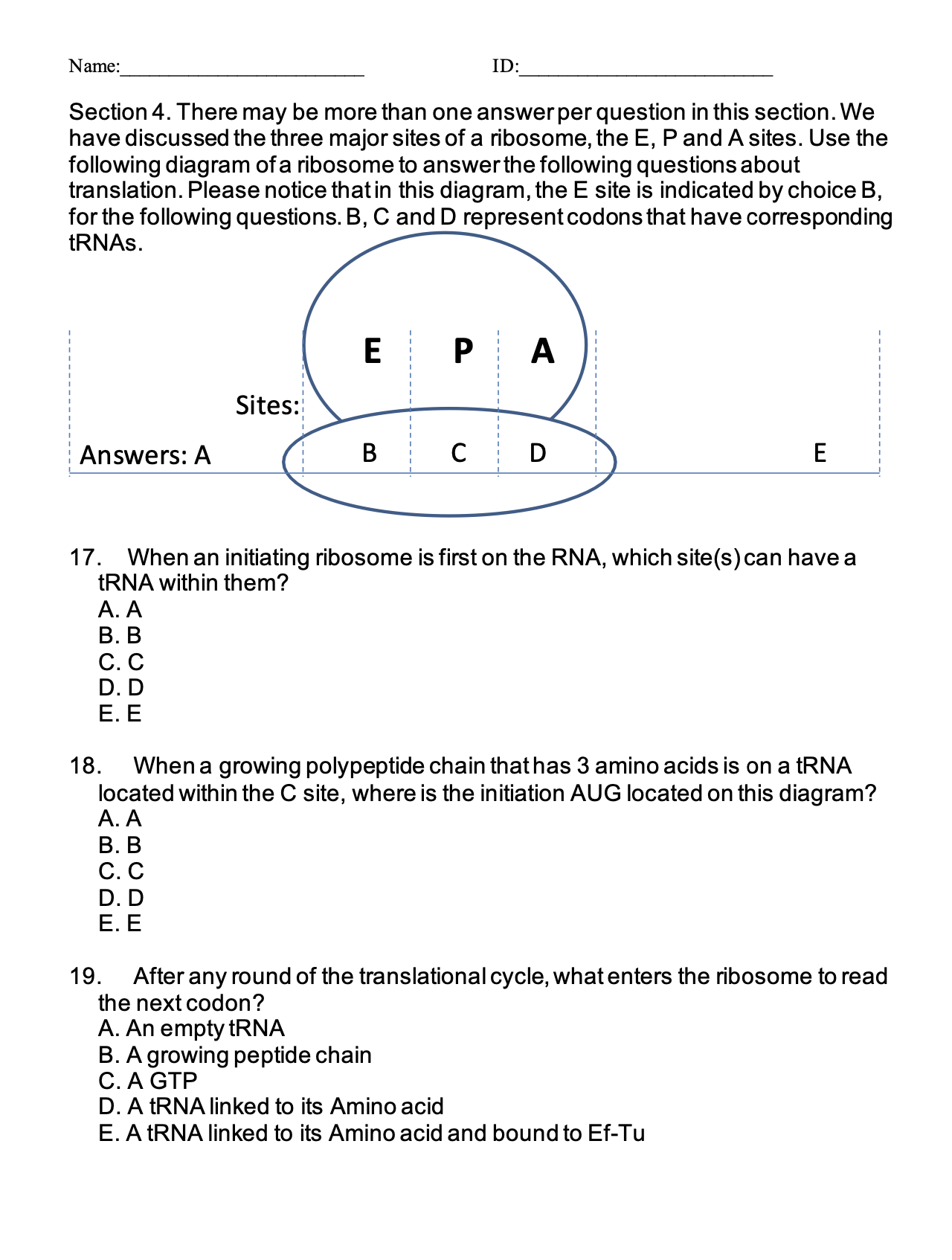 Solved Section 4 There May Be More Than One Answer Per