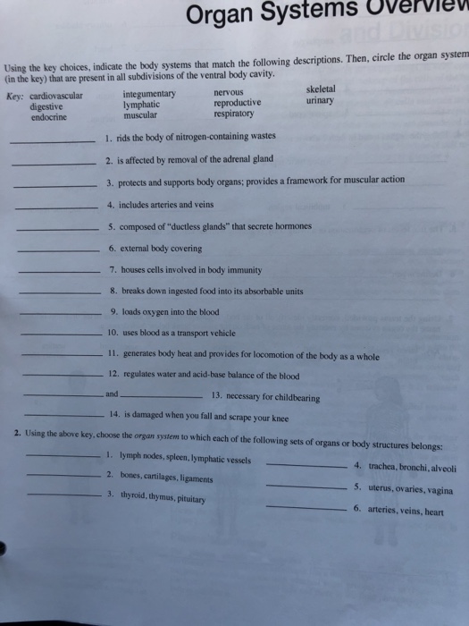 Solved Organ Systems UVervie Using the key choices, indicate | Chegg.com