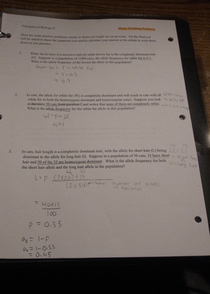 Solved I need help with number 5, but here is my work for | Chegg.com