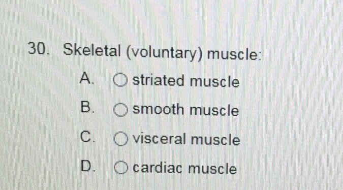 Solved Skeletal (voluntary) muscle: A. striated muscle B. | Chegg.com