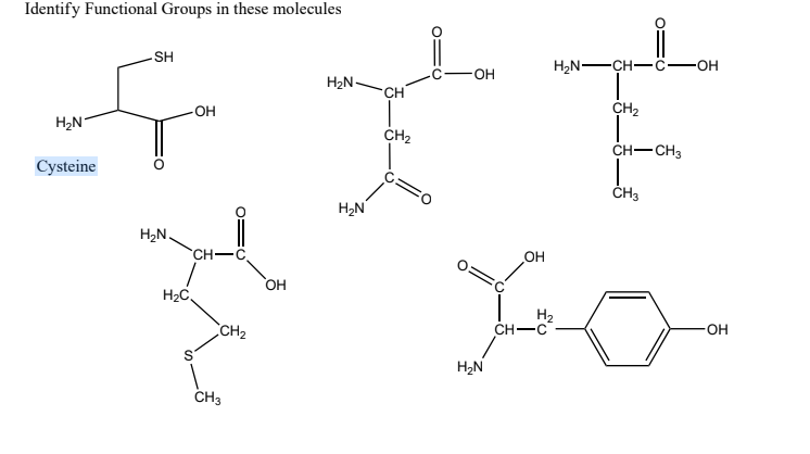 Solved Identify Functional Groups in these molecules SH | Chegg.com