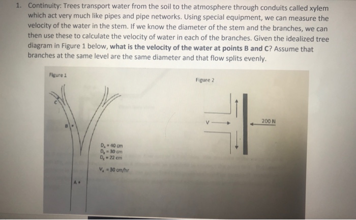 Solved Continuity: Trees transport water from the soil to | Chegg.com