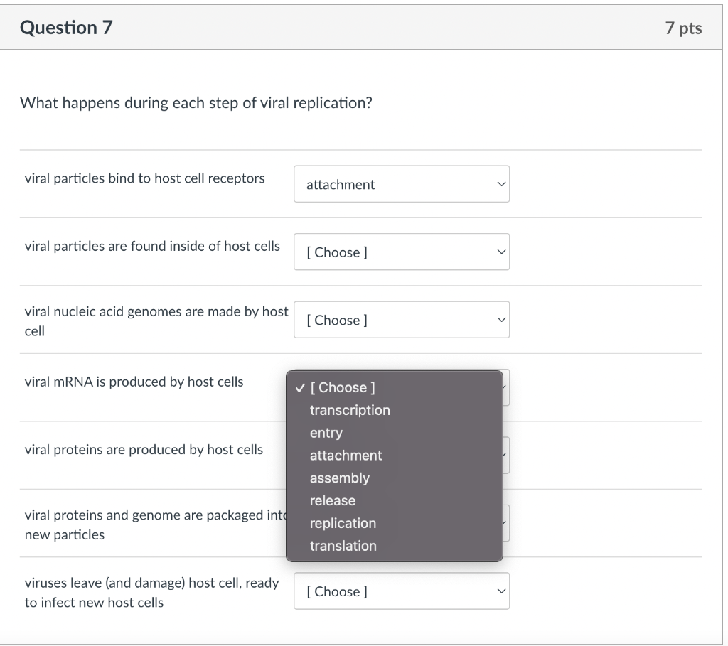 Solved What happens during each step of viral replication? | Chegg.com