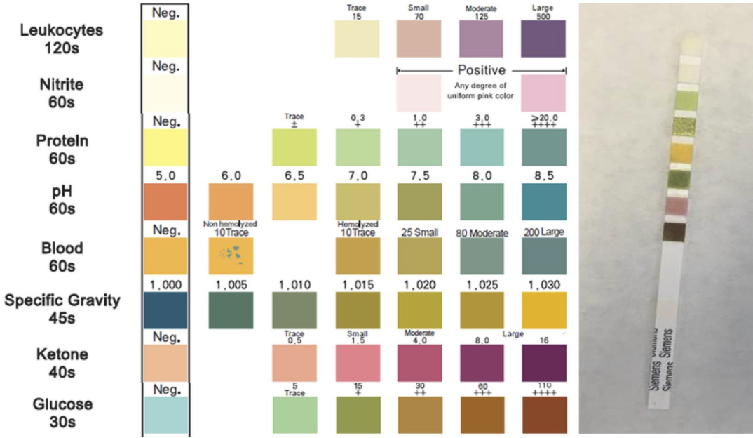 Solved Using the given and answer the following: Part 1: i) | Chegg.com