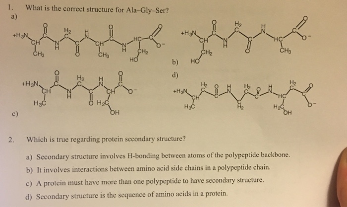 Solved 1. What is the correct structure for Ala-Gly-Ser? H2 | Chegg.com