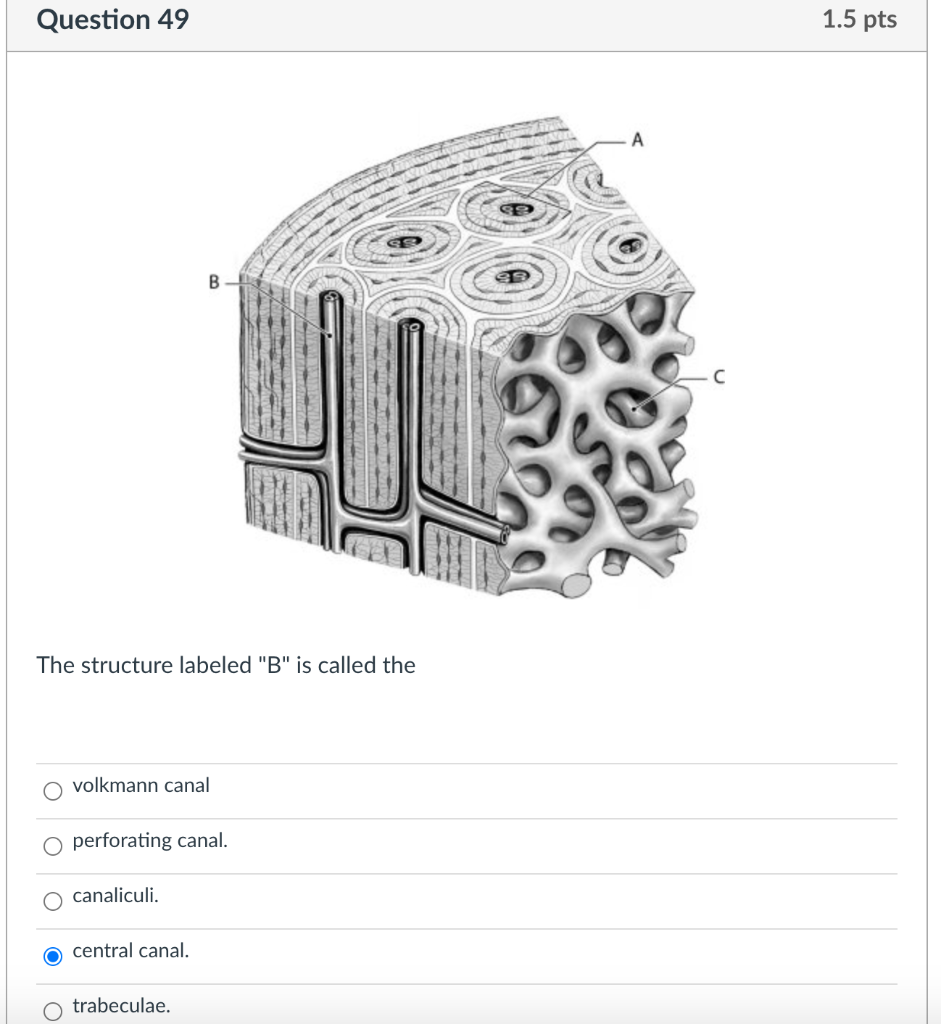 Solved Question 47 1.5 pts 3 7 4 6 ANS Pathway The structure | Chegg.com