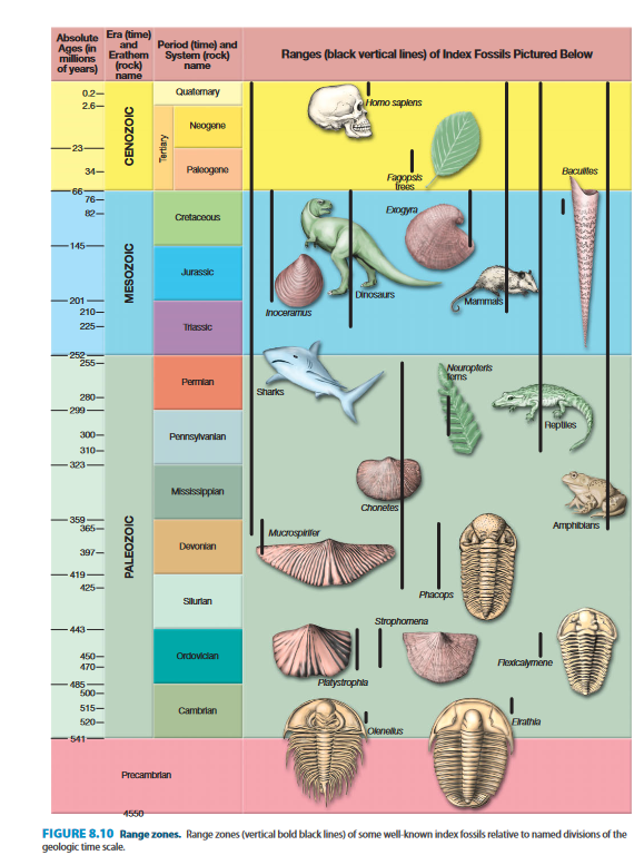 Solved Part 4: Radiometric Dating of Geologic Materials7. A | Chegg.com