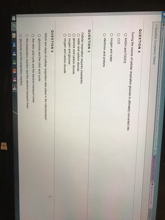 Solved Question Completion Status: QUESTION In the absence | Chegg.com