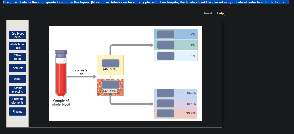 Solved Drag the labels to the appropriate location in the | Chegg.com