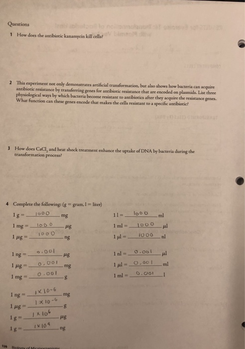 GROWTH CURVE bsorbance and using the standard curve | Chegg.com