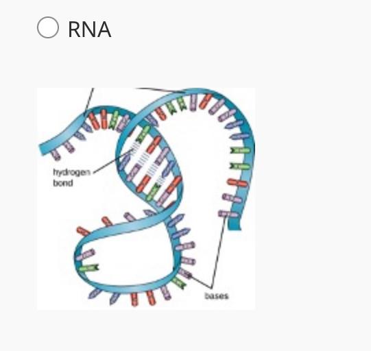 Solved What molecules will be the most abundant when | Chegg.com