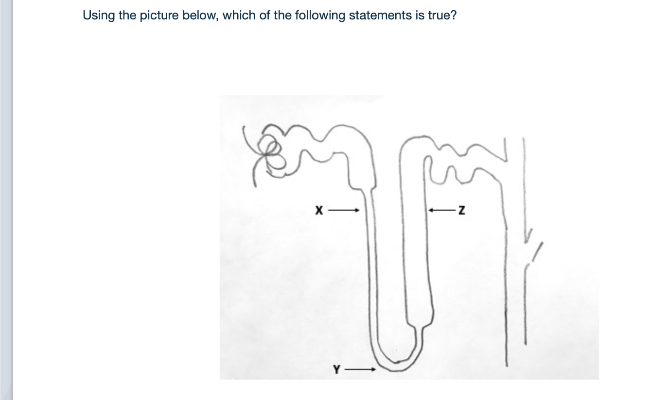 Solved a. the concentration of fluid in the nephron is | Chegg.com