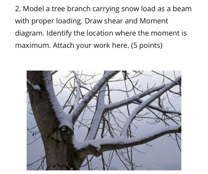 Solved 2. Model a tree branch carrying snow load as a beam | Chegg.com