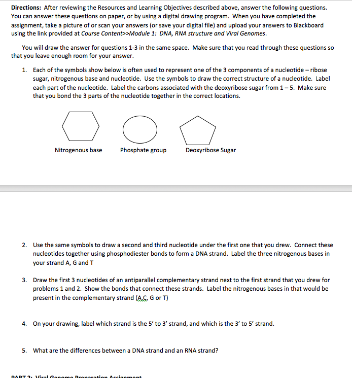 Solved Directions: After reviewing the Resources and | Chegg.com